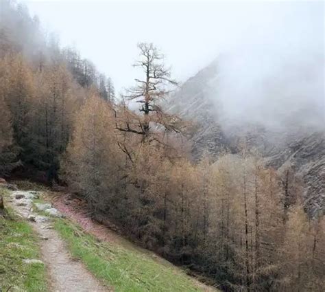 Python으로 Api 연동하는 기초 코드 작성법 온루루