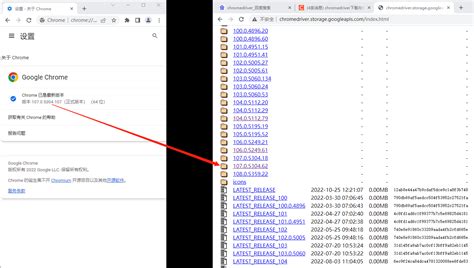 【chromedriver下载与安装方法，测试抓取股票信息】票星球 网页 Chromedriver Csdn博客