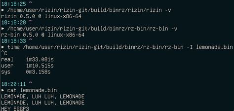 le parser dos infinite loop on parsing file sections · issue 2993