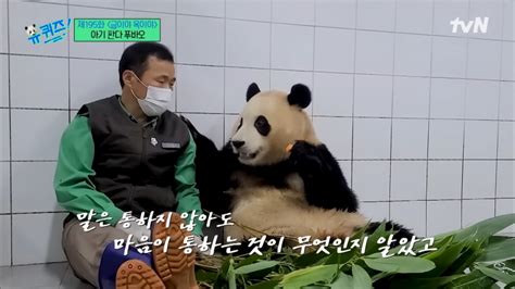 울컥한 중국인 푸바오 中 오지마韓 판다 할부지 사랑에 감동 울컥한 중국인 푸바오 中 오지마韓 판다 할부지 사랑에 감동