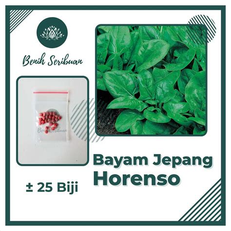 25 Biji Benih Bayam Jepang F1 Hibrida Horenzo Bibit Sayuran Super