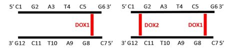 DOXORUBICIN Blog