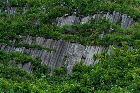 Premium Photo Sheer Columnar Basalt Cliffs Overgrown With Lush Vegetation