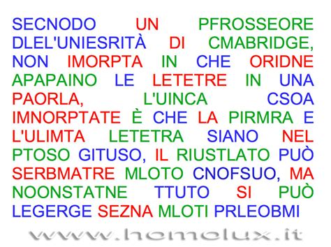 Prova A Leggere E A Studiare Con Le Pupille Di Un Dislessico Homolux