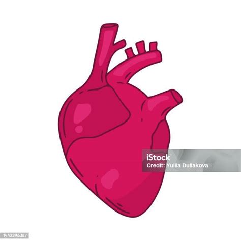 Ilustrații De Stoc Cu Design Vectorial Al Inimii Imagini Realiste De