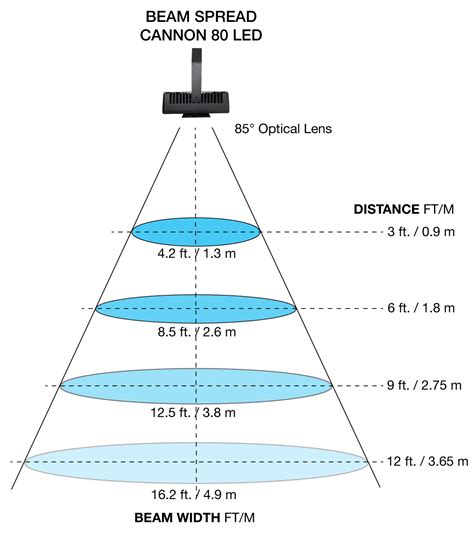 Cannon 80 Ecoxotic