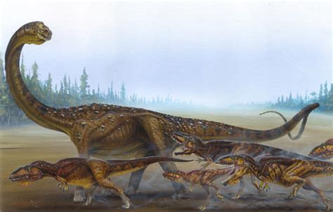 Mapusaurus Vs Argentinosaurus