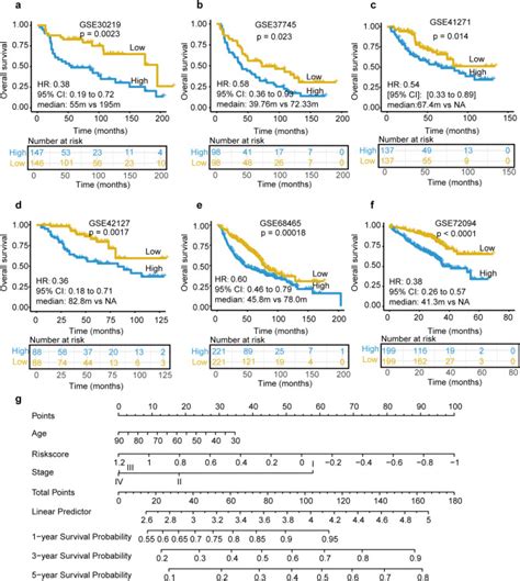 Construction Of Ubiquitination Related Risk Model For Predicting Prognosis In Lung