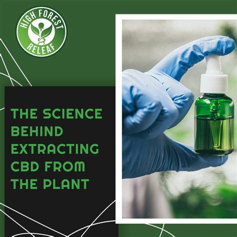 The Science Behind Extracting Cbd From Plant To Potent Product