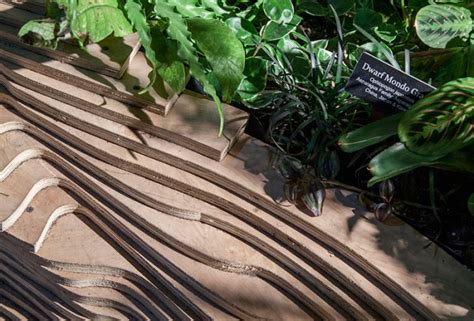 First Underground Park The Lowline In New York The Strength Of