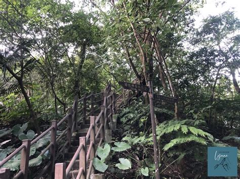 ⛰台北大縱走｜第六段｜中華科大至捷運麟光站 健行筆記