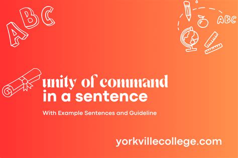 How To Use Unity Of Command In A Sentence Easy Examples