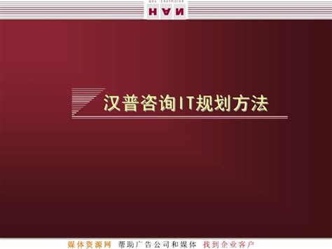 汉普咨询IT规划方法 word文档在线阅读与下载 无忧文档