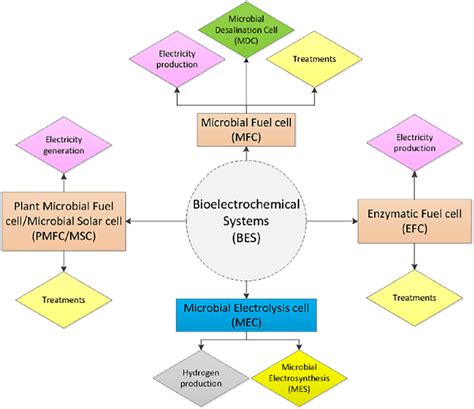 Overview Of Various Biochemical Systems 33 Download Scientific Diagram
