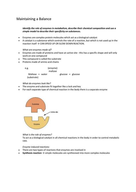 Hsc Biology Notes Biology Year 12 Hsc Thinkswap