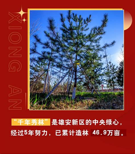 欢度国庆丨国庆看雄安，这些地方真美！澎湃号·政务澎湃新闻 The Paper
