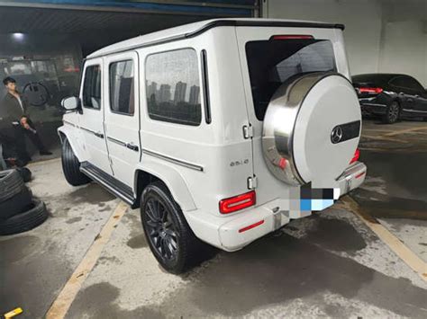 奔驰 奔驰g级 2019款 G500 欧规实拍图