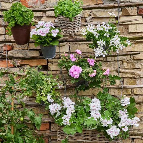 Urządź wymarzony balkon z pelargoniami Na topie aranżacje na rok