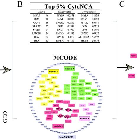 The Molecular Complex Detection Mcode Components Of The Download Scientific Diagram
