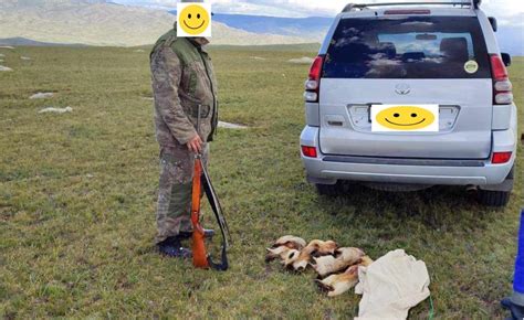 ӨВӨРХАНГАЙ Хууль бусаар тарвага агнасан гэх 19 зөрчлийг илрүүлжээ