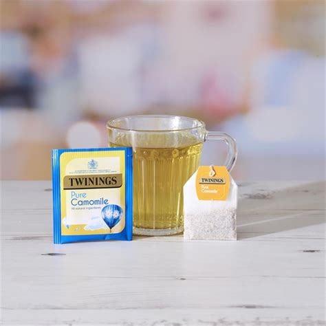 Twinings Pure Camomile Enveloped Tea Bags Pack Of 240 DZ463 Buy