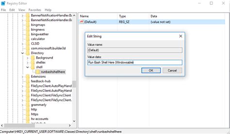 How To Add Bash Shell To Windows