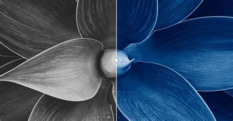 Wordpress Before And After Plugin Code Canel