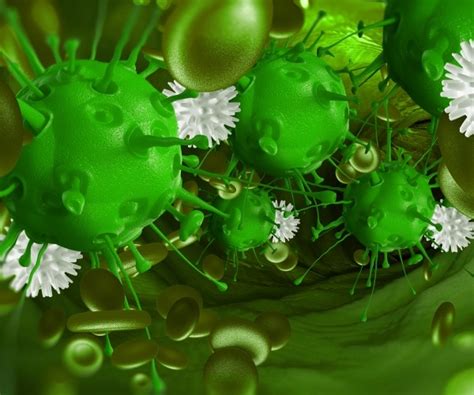 Feds Chinese Couple Tried To Smuggle Dangerous Pathogen Into Us Wls 890 Am