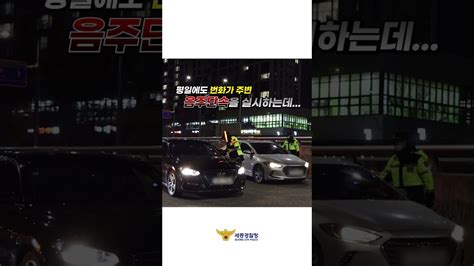 세종시 음주운전 단속 현장 면허취소 수치의 음주운전 단속 Youtube