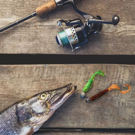 Fishing Lure Lead Head Jig Hook Set Perfect Freshwater Bass Temu Qatar