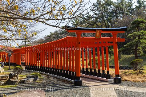 日本 青森県つがる市にある高山稲荷神社の千本鳥居の写真素材 246777663 イメージマート
