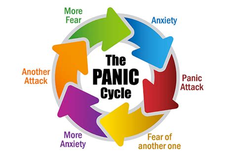 Panic Cycle SuperbHub