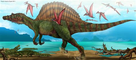 Oxalaia Pictures And Facts The Dinosaur Database