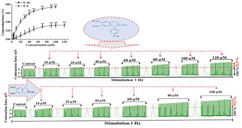 Description Of Cardioprotective Properties Of Some Isoquinoline