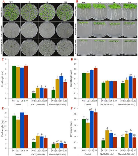 Plant Growth Analyses Under Salt And Osmotic Stress A Seed