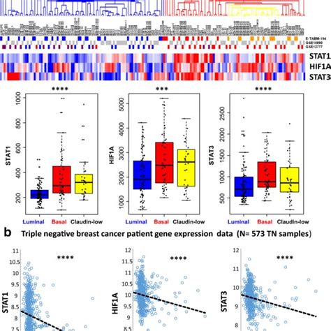 Alpha Casein Expression Correlates With Improved Clinical Outcome In