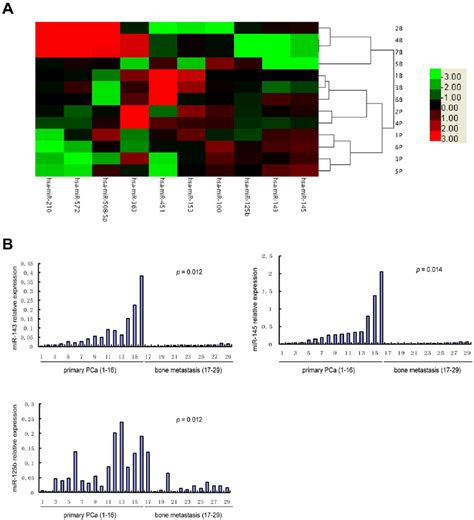 Validation Of Select Mirnas Predicted To Be Downregulated In Prostate