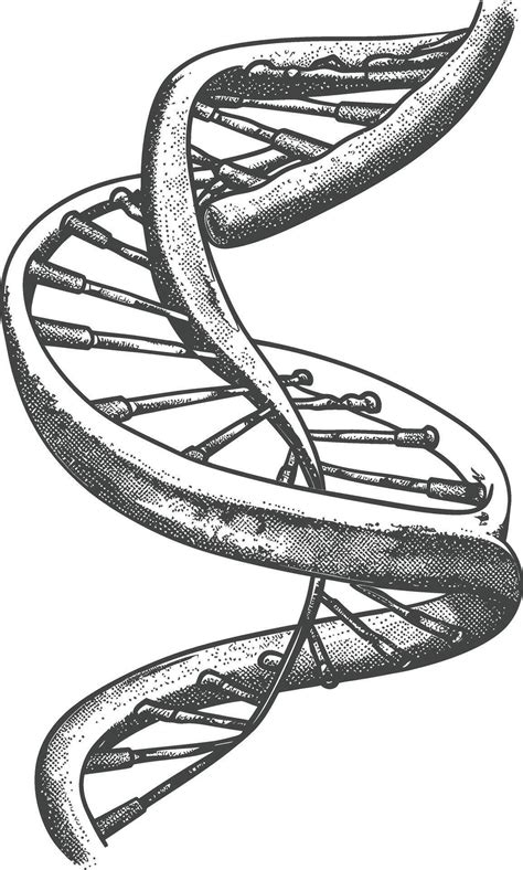 Gene Dna Mutation Symbol With Engraving Style Black Color Only 46012127 Vector Art At Vecteezy