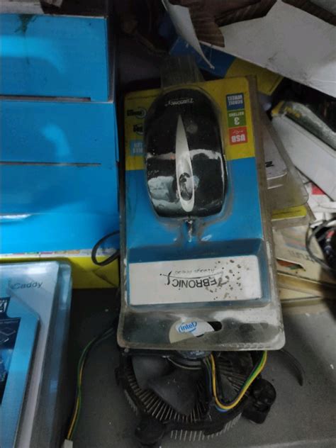 Zebronics Mouse In Prayagraj ज़ेब्रोनिक्स माउस इलाहाबाद Latest Price Dealers And Retailers In