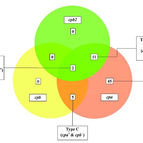 Venn Diagram Depicting Various Toxinotypes Of C Perfringens Identified