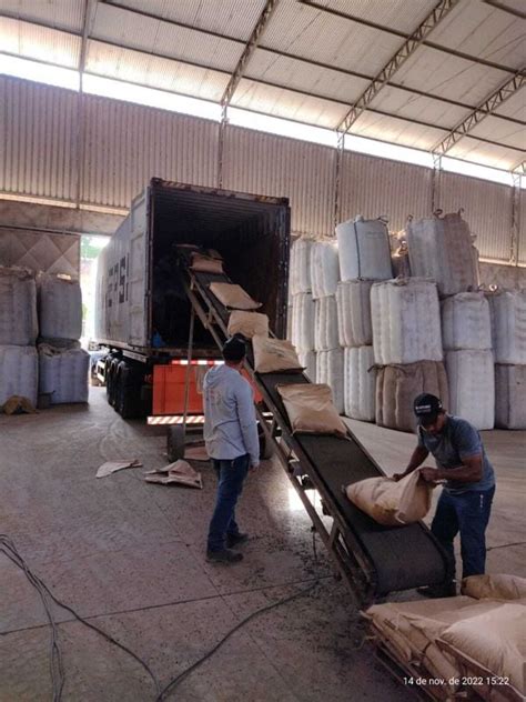 Es Egito Nater Coop Faz Sua Primeira Exportação De Pimenta Do Reino