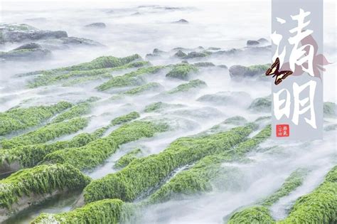 清明节除了祭祖这6种传统美食别忘了吃寓意平安幸福团圆 阿波罗新闻网