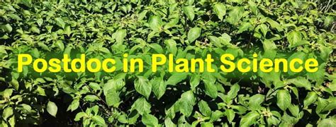 Postdoc In Plant Science Research Fellowships Positions Big Sciences