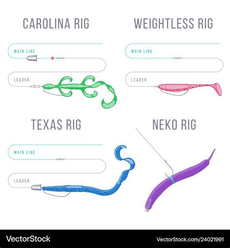 Bass Fishing Rigs