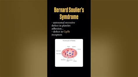 Bernard Souliers Syndrome And Platelet Defect Bleeding Platelets