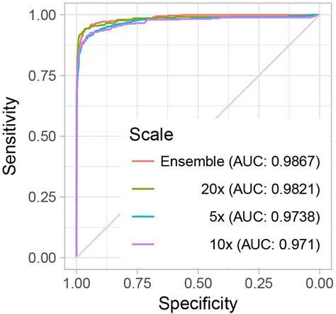 Performance Of The Mil Rf Model At Multiple Scales On The Prostate