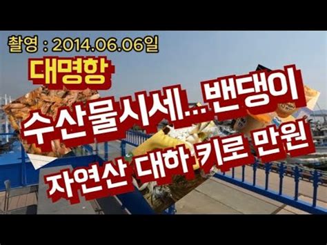 밴댕이 병어 갑오징어 자연산 대하 등 수산물이 많이나왔습니다 자연산 대하 키로 만원 촬영일자 2024 06 06일