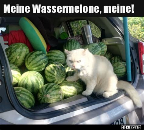 Meine Wassermelone Meine Debeste De