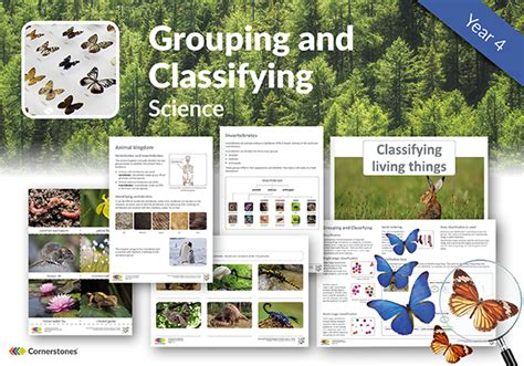 Grouping And Classifying Year 4 Science Cornerstones Curriculum