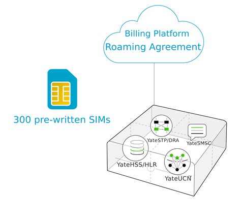 Start Mvno Business Use Mvno In A Box To Test Your Market